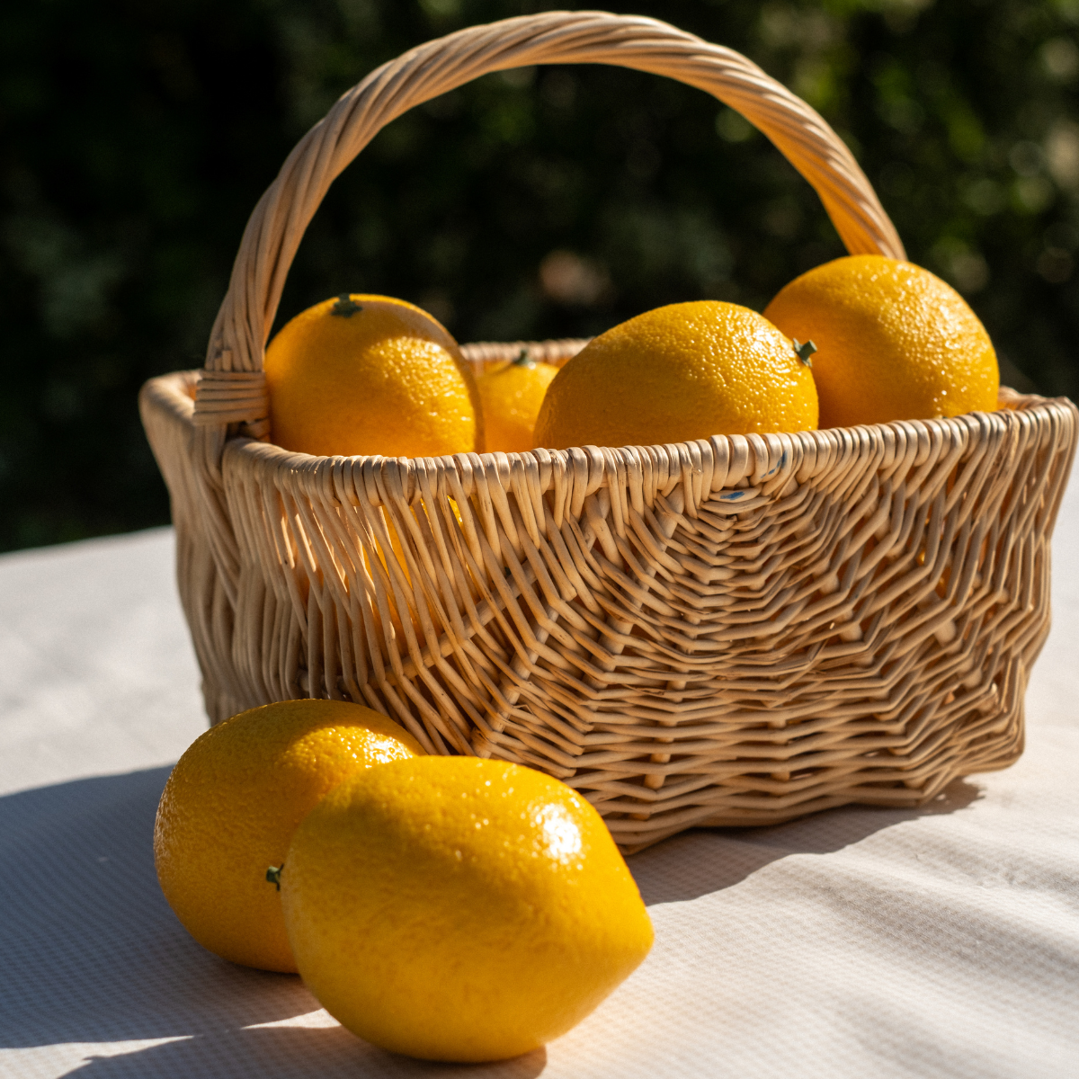 Fruits et légumes artificiels – Sia Deco