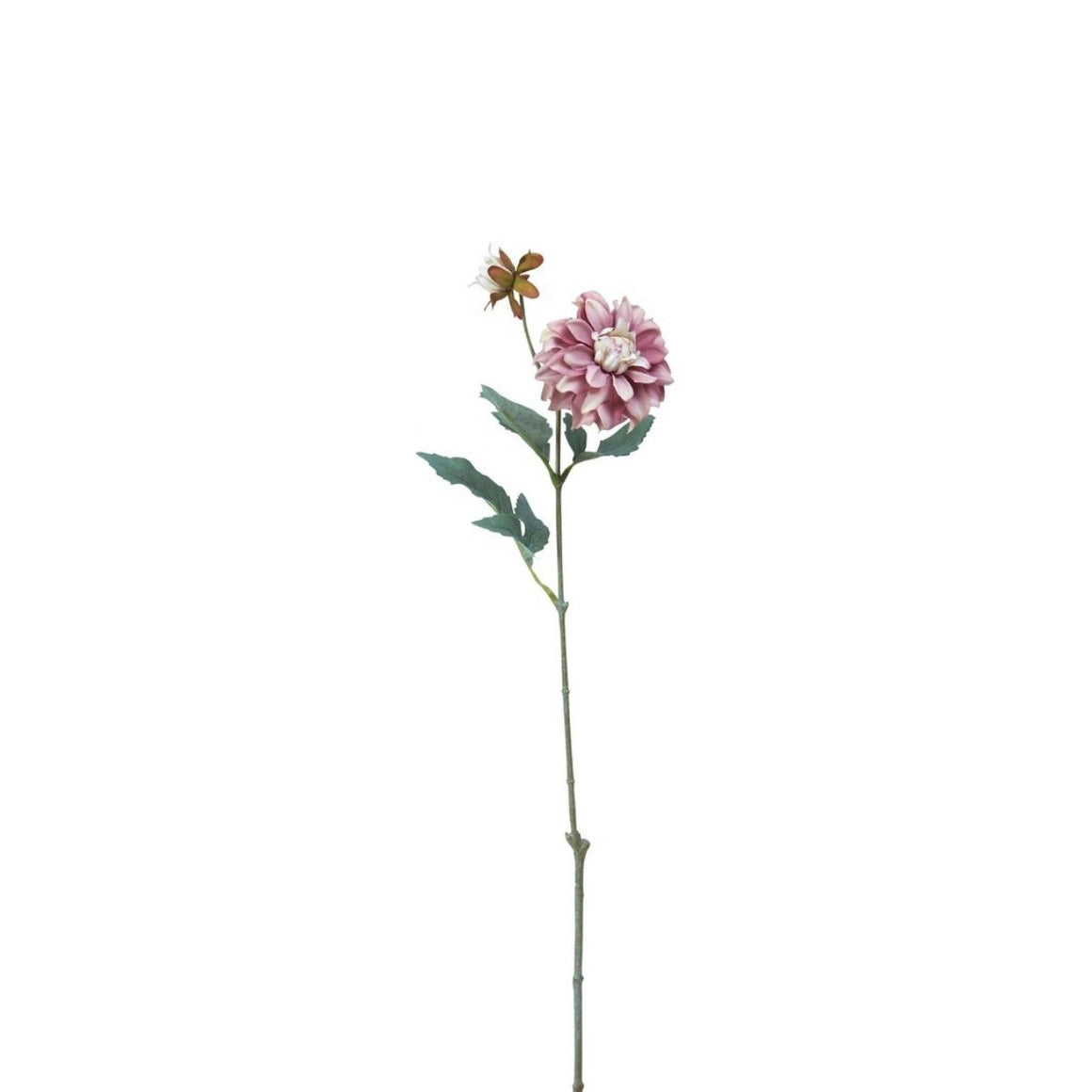 Vases et Fleurs Artificielles Sia - Décoration Florale Élégante – Sia Deco