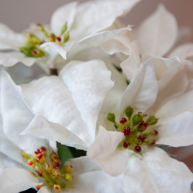 Fleurs artificielles et Vases – Sia Deco