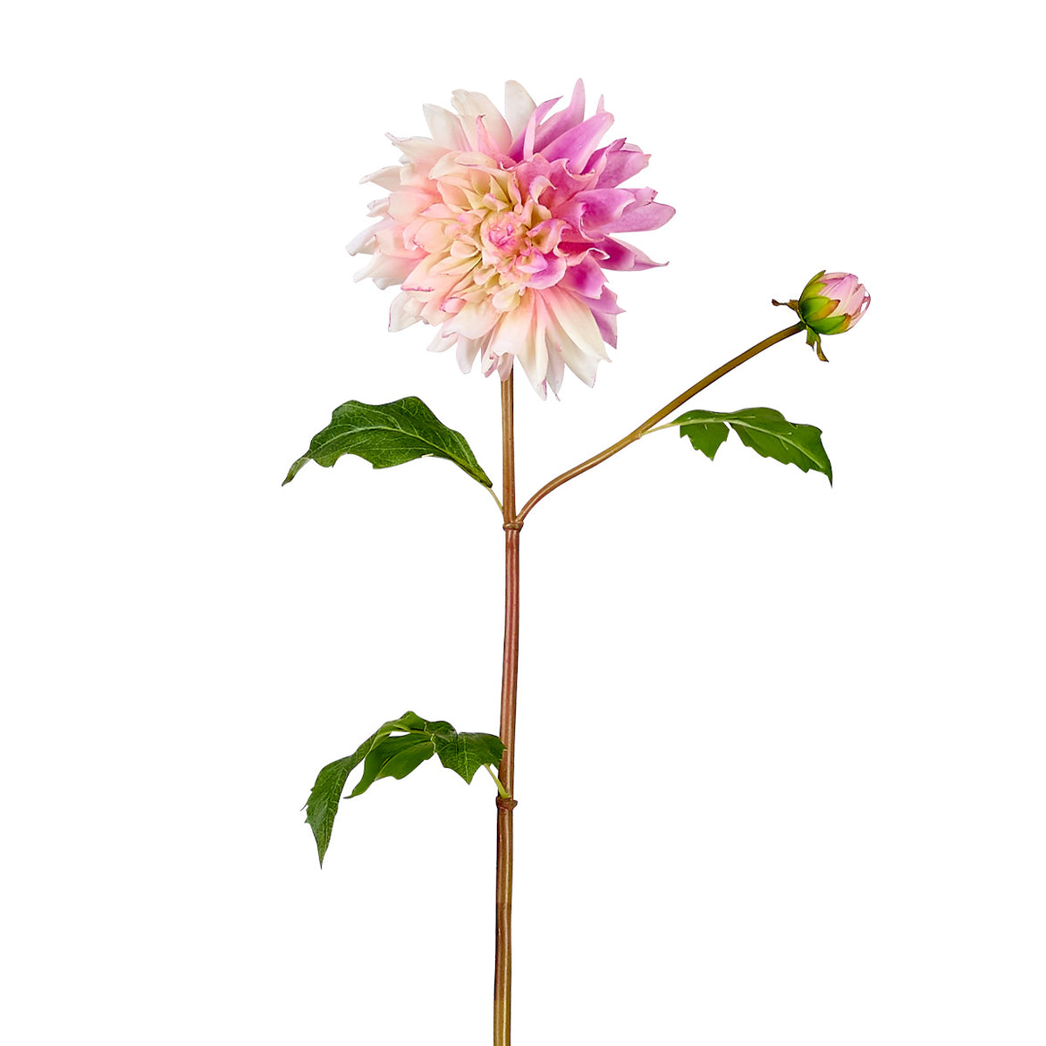 Vases et Fleurs Artificielles Sia - Décoration Florale Élégante – Sia Deco